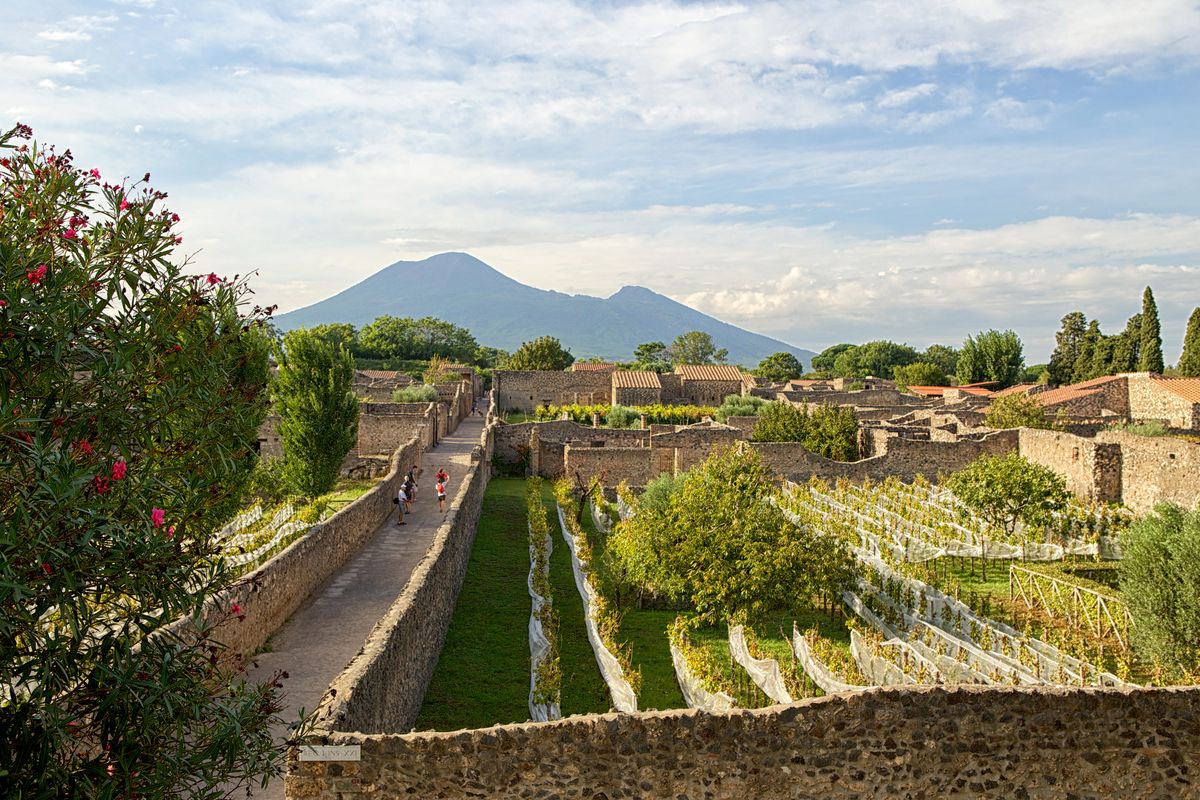Un itinerario alla scoperta dei luoghi dove nascono i vini del Vesuvio ... Un itinerario alla scoperta dei luoghi dove nascono i vini del Vesuvio ...
